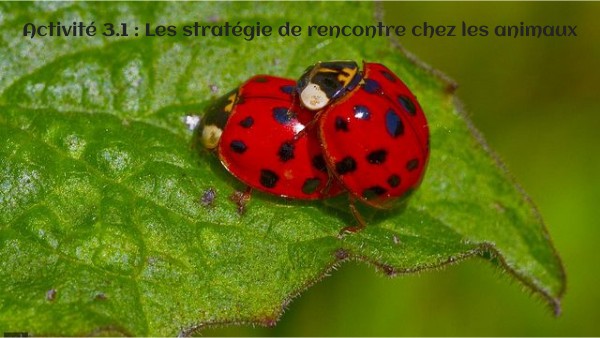 chap 2 act 3 | Genially