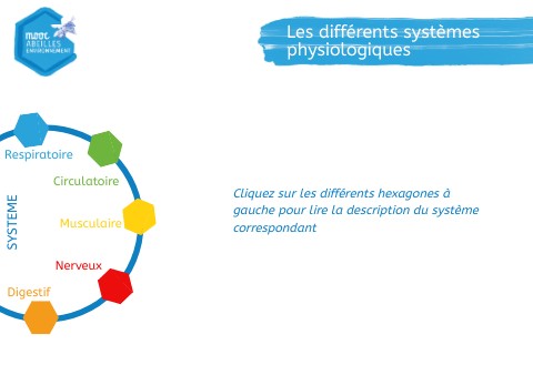 systèmes physio | Genially
