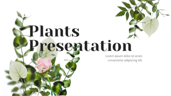 PLANTS PRESENTATION | Genially