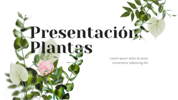 PRESENTACIÓN PLANTAS | Genially