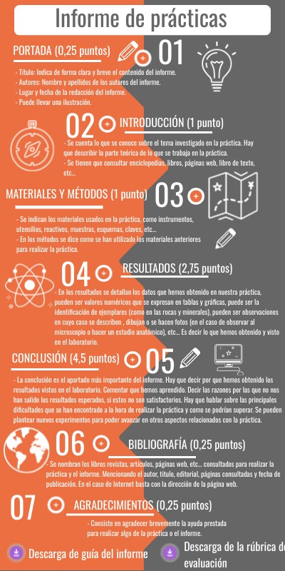 Informe de prácticas
