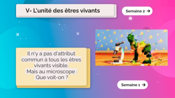 6°2-6°4 - L'unité des êtres vivants | Genially