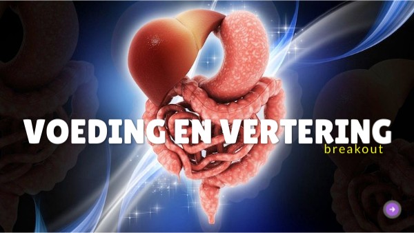 Voeding en vertering breakout | Genially