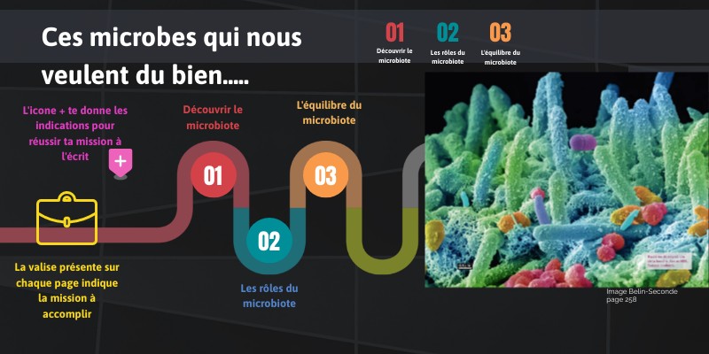 Le microbiote humain (seconde SVT) | Genially