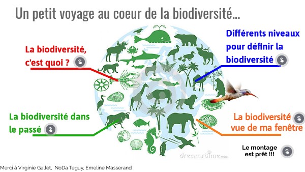 Projet Biodiversité