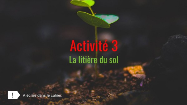 Activité 3 La litière du sol v2 | Genially