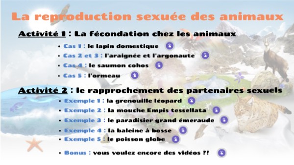 reproduction sexuée des animaux | Genially