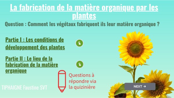 La fabrication de la matière organique chez les plantes | Genially