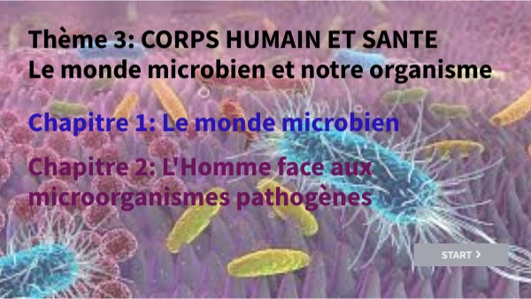 IMMUNO 3è | Genially