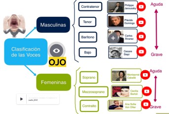 CLASIFICACIÓN DE LAS VOCES | Genially