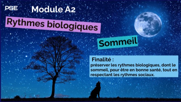 PSE - rythme biologique et sommeil | Genially