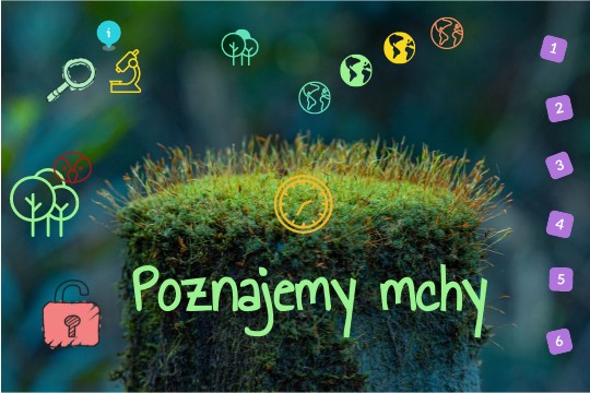 Poznajemy mchy | Genially