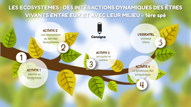 Ecosystèmes TP1 avec Nico E | Genially