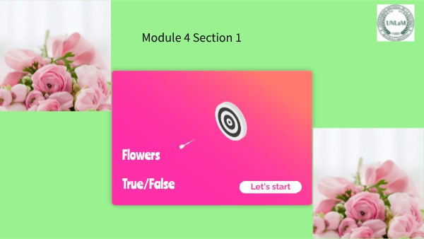 Module 4 Section 1 | Genially