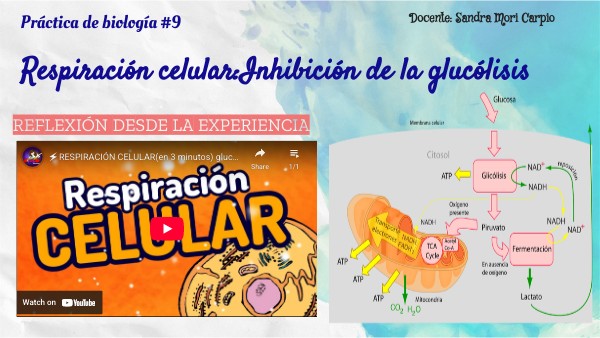 Biología _ Respiración celular
