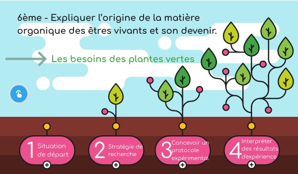 Besoins des plantes vertes 6e | Genially