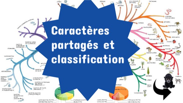 caractères partagés et classification miguet | Genially