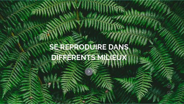 Séquence 3 : reproduction sexuée | Genially