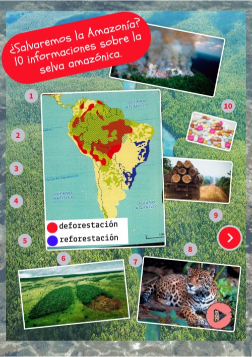 10 informaciones sobre la Amazonia | Genially