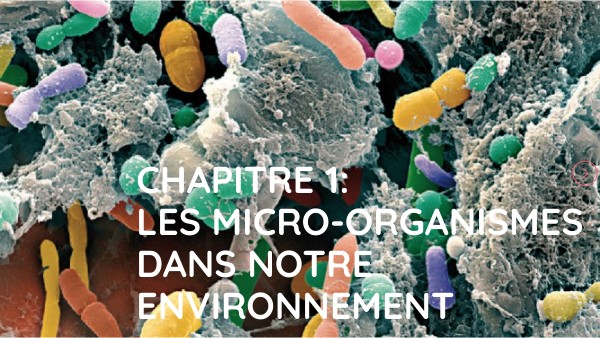 MICRO-ORGANISMES DANS L´ENVIRONNEMENT | Genially
