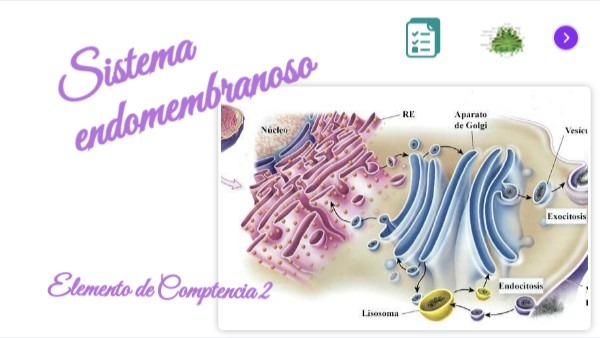 BC EC2 F1 Sistema endomembranoso | Genially