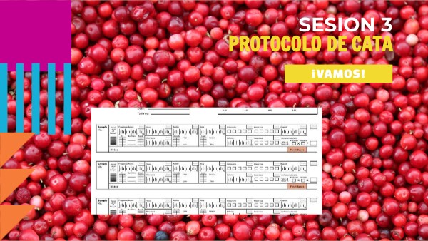 PROTOCOLO DE CATA | Genially