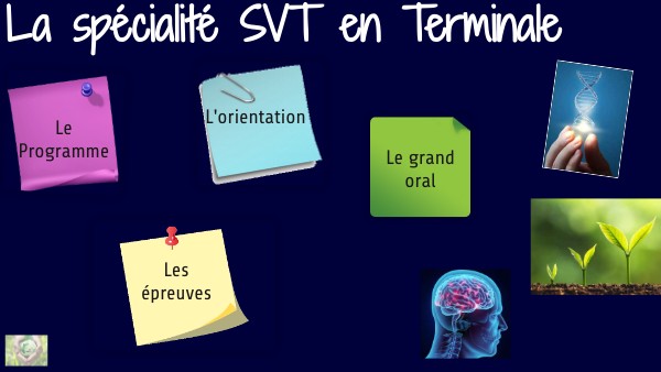 Présentation Term Spé | Genially