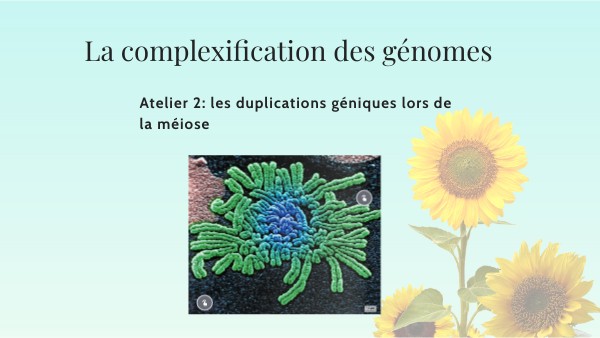 T SPE SVT Complexification des génomes 2 | Genially