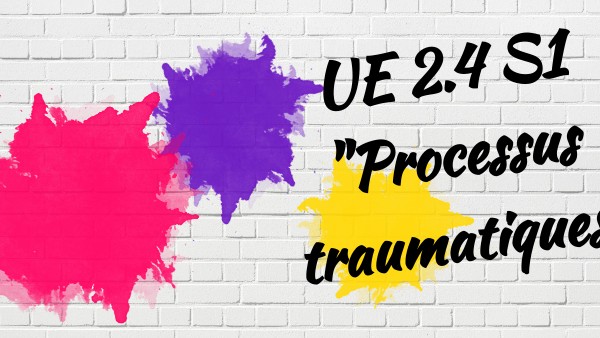 Présentation UE 2.4 S1 | Genially