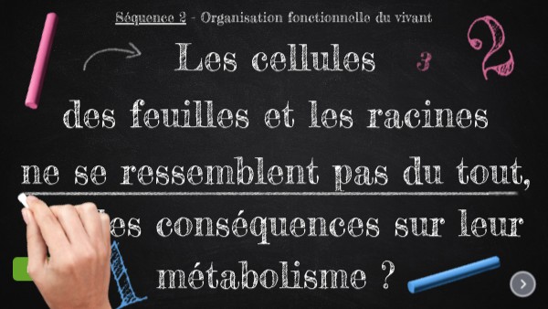 2 - S2 - Q9 - Métabolisme | Genially