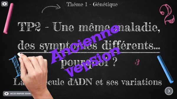 2 - TP4 - ADN | Genially