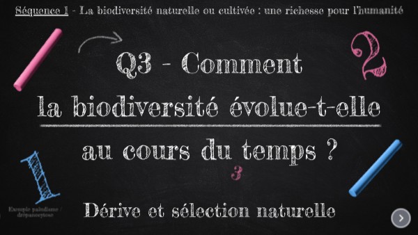 2 - S1 - Q3 - Evolution | Genially