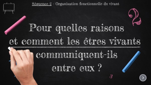 2 - S2 - Q11 - Communication | Genially