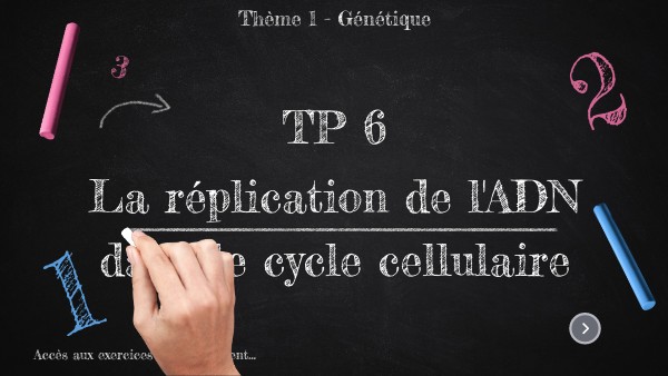 1 - TP6 - Réplication | Genially