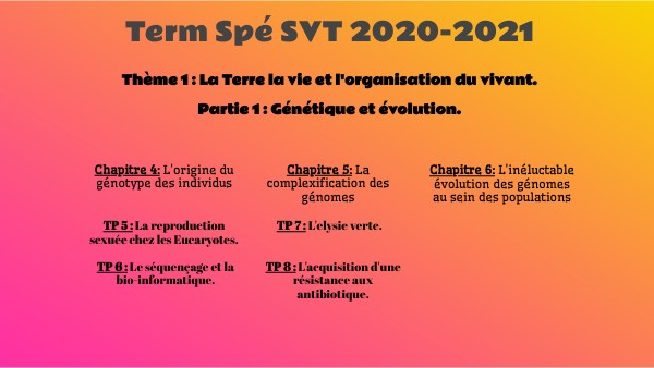 Menu terminale | Genially