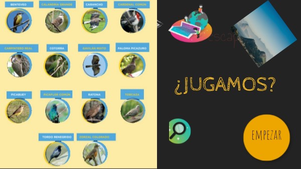 Juego reconocimiento de aves | Genially