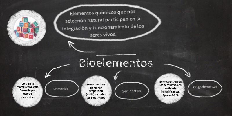Bioelementos | Genially