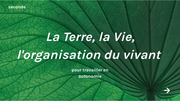 seconde chapitre 1 | Genially