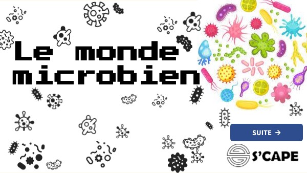 C4_Activité entrée microbes