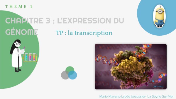 1SPE TP transcription | Genially