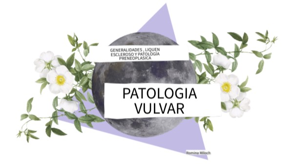 patologia vulvar | Genially