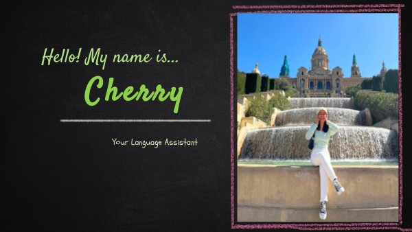 Introduction - Language Assistant