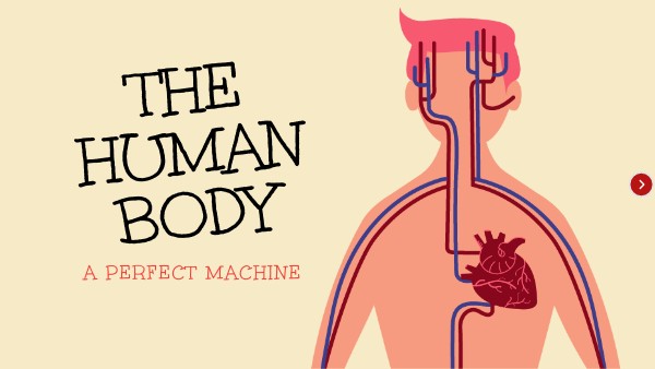 The Human Body. Year 5 | Genially