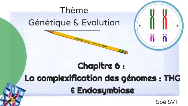 Term Spé SVT - Chap 6 - Complexification des génomes
