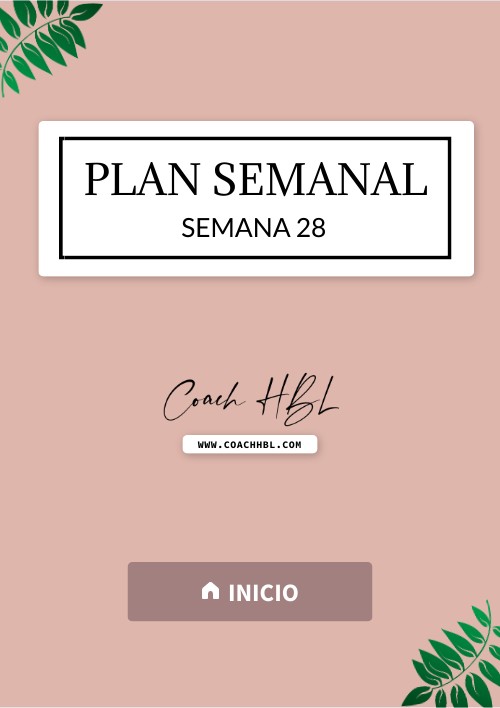 Plan Semanal 28