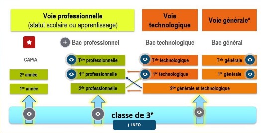 Schéma post-3e | Genially