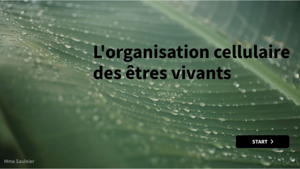 TP 1 Niveaux d'organisation | Genially