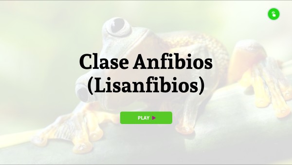 Clase Anfibios | Genially