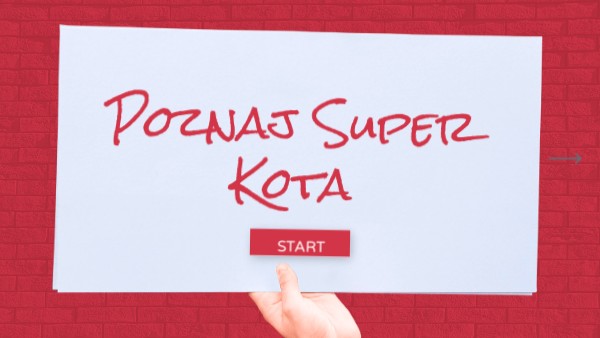 Super Kot-j.sz.
