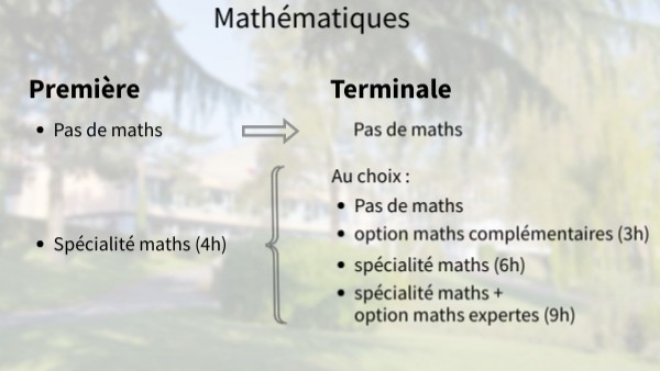 Les maths (spé et options) | Genially